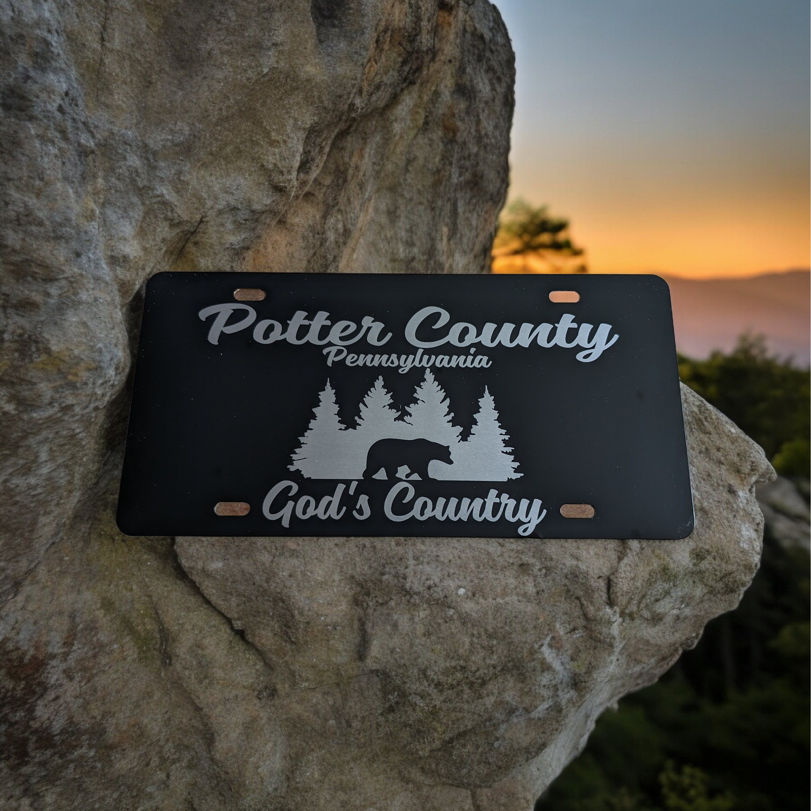 PA Wilds License Plate - Potter County with a Bear and Pine Trees ...