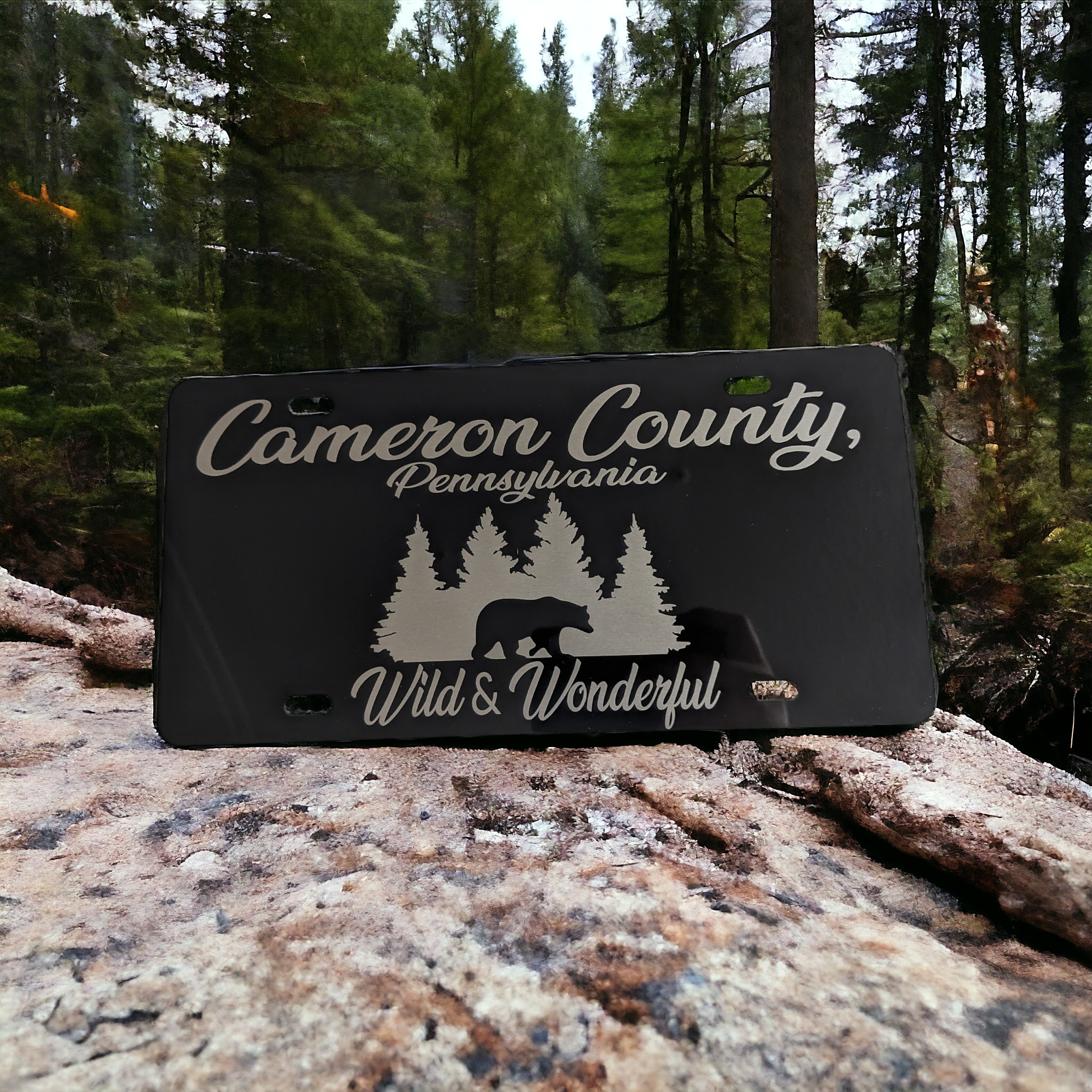 PA Wilds License Plate - Cameron County with a Bear and Pine Trees ...